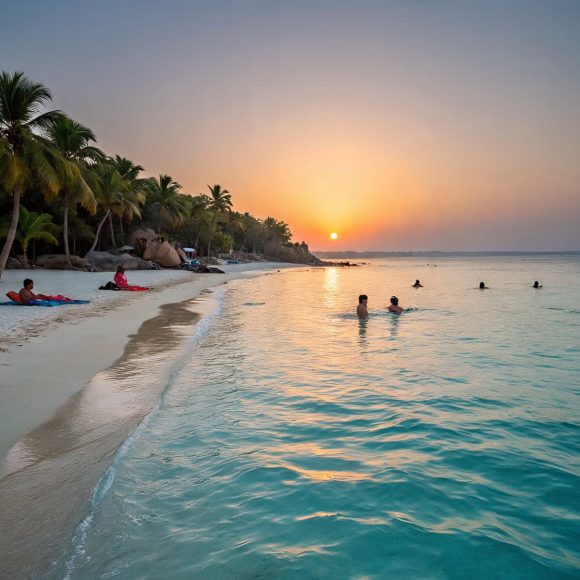 Creating Coastal Magic: How to Build an Artificial Beach and the World ...
